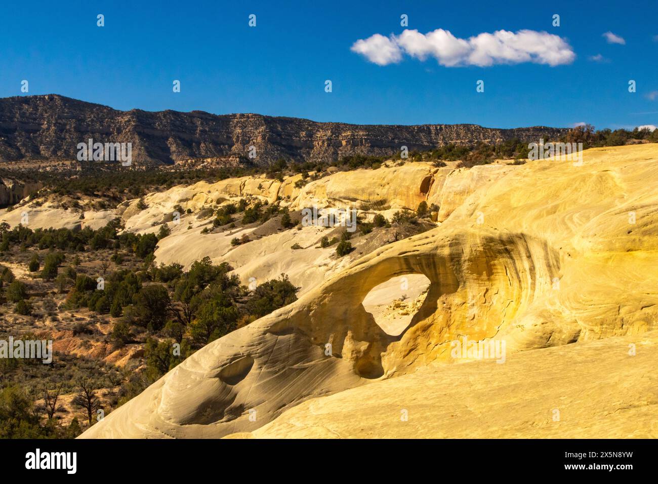 USA, Utah, Grand Staircase Escalante National Monument. Cedar Wash Arch ...