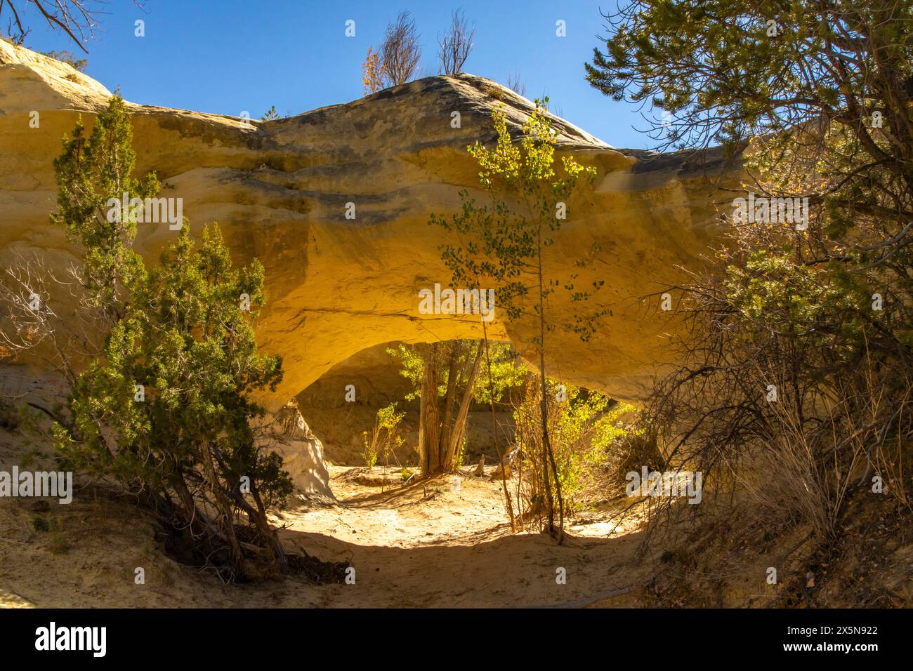 USA, Utah, Grand Staircase Escalante National Monument. Covered Wagon ...