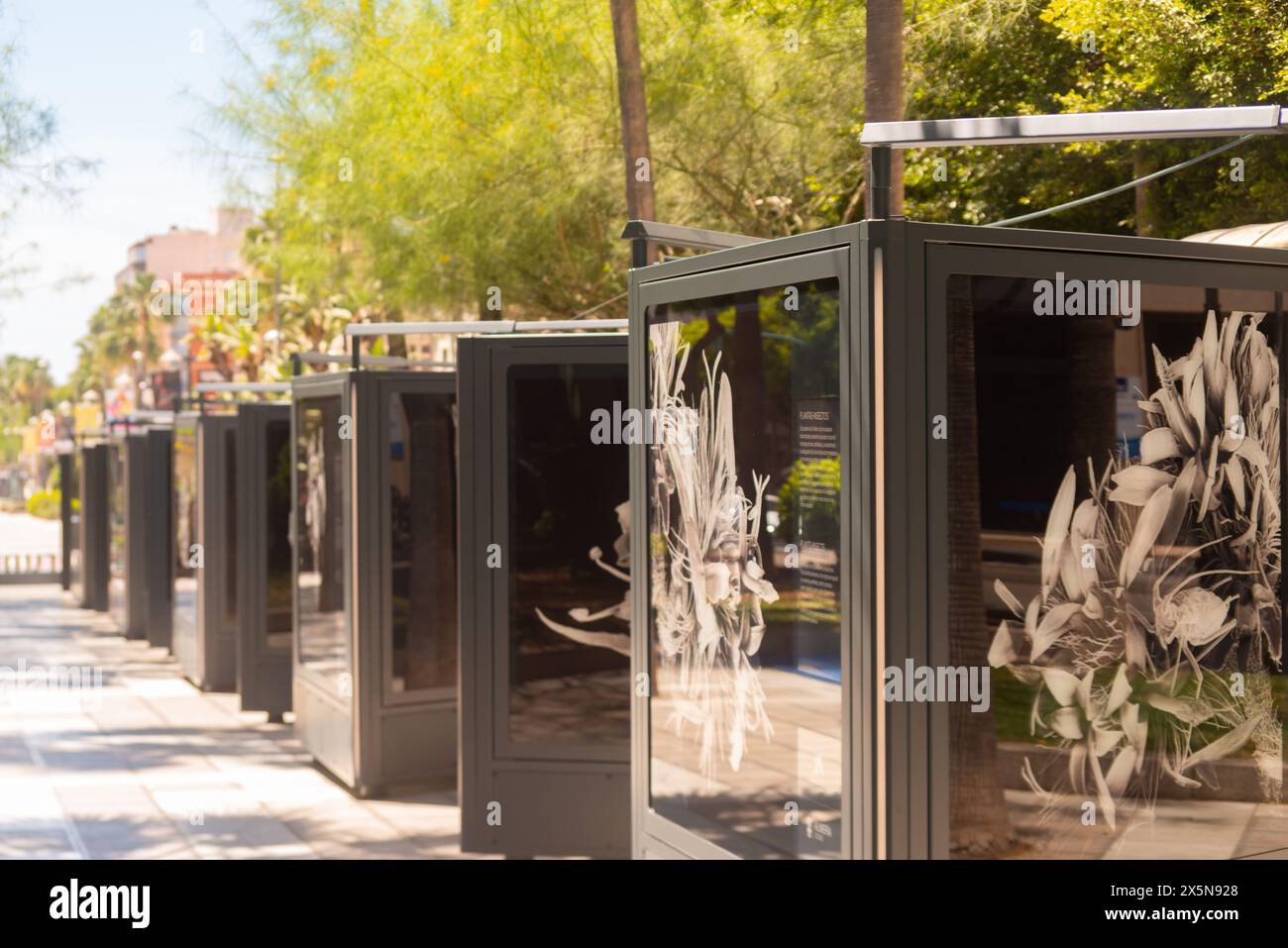 ALMERIA, SPAIN - 10 MAY 2024 The exhibition presents 36 photographs by ...