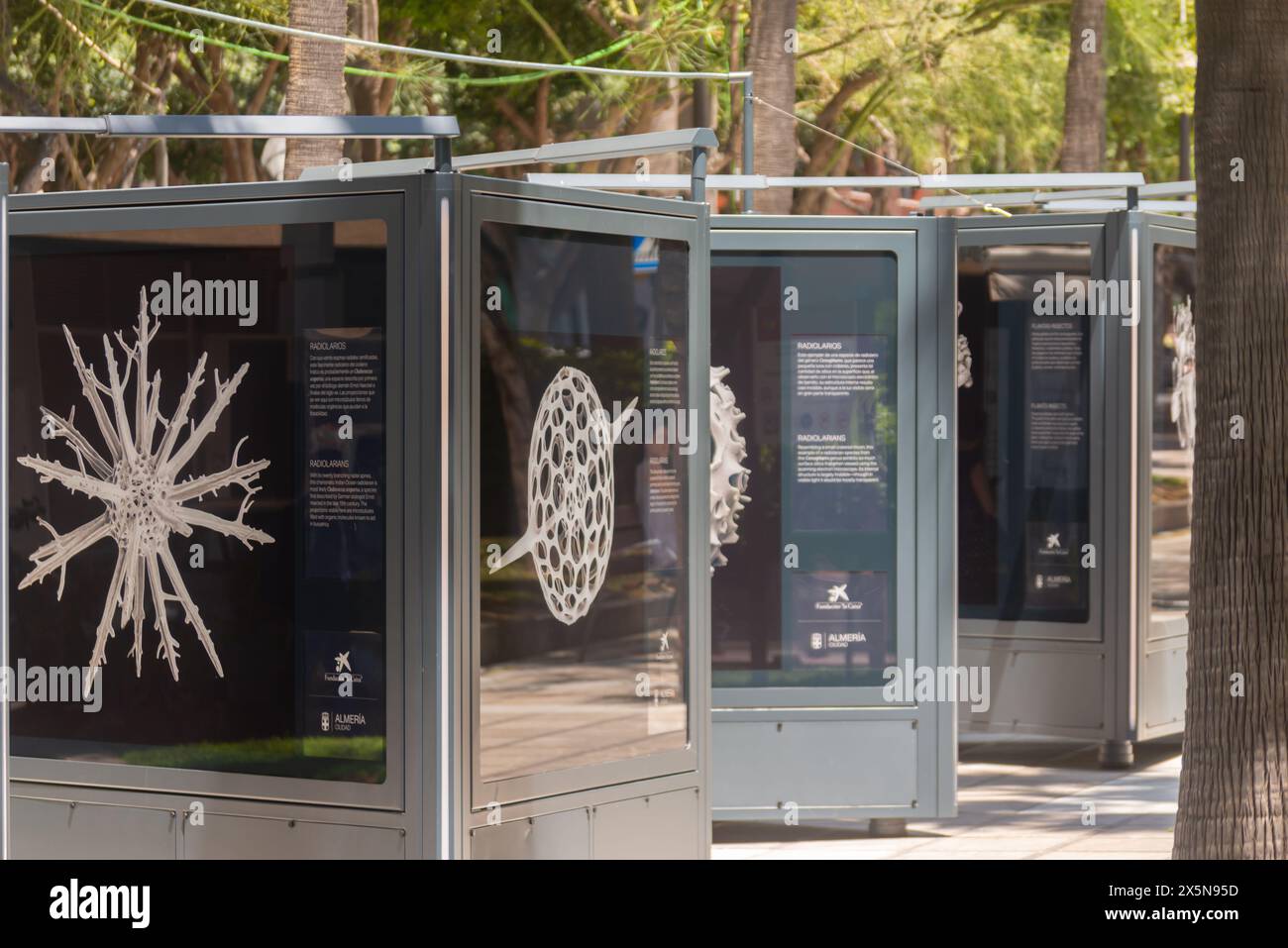 ALMERIA, SPAIN - 10 MAY 2024 The exhibition presents 36 photographs by ...