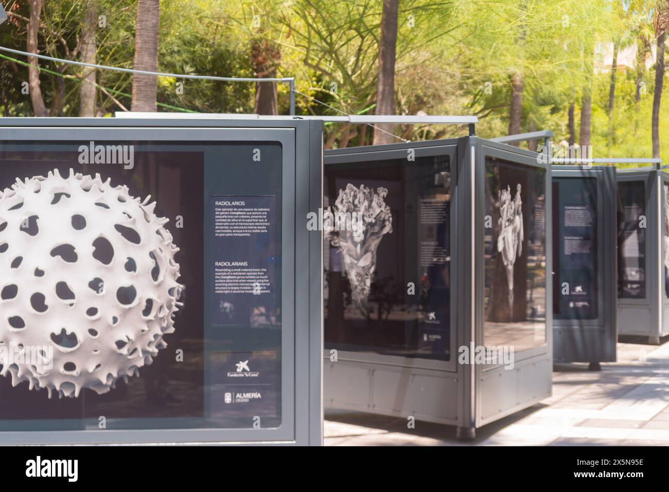 ALMERIA, SPAIN - 10 MAY 2024 The exhibition presents 36 photographs by ...