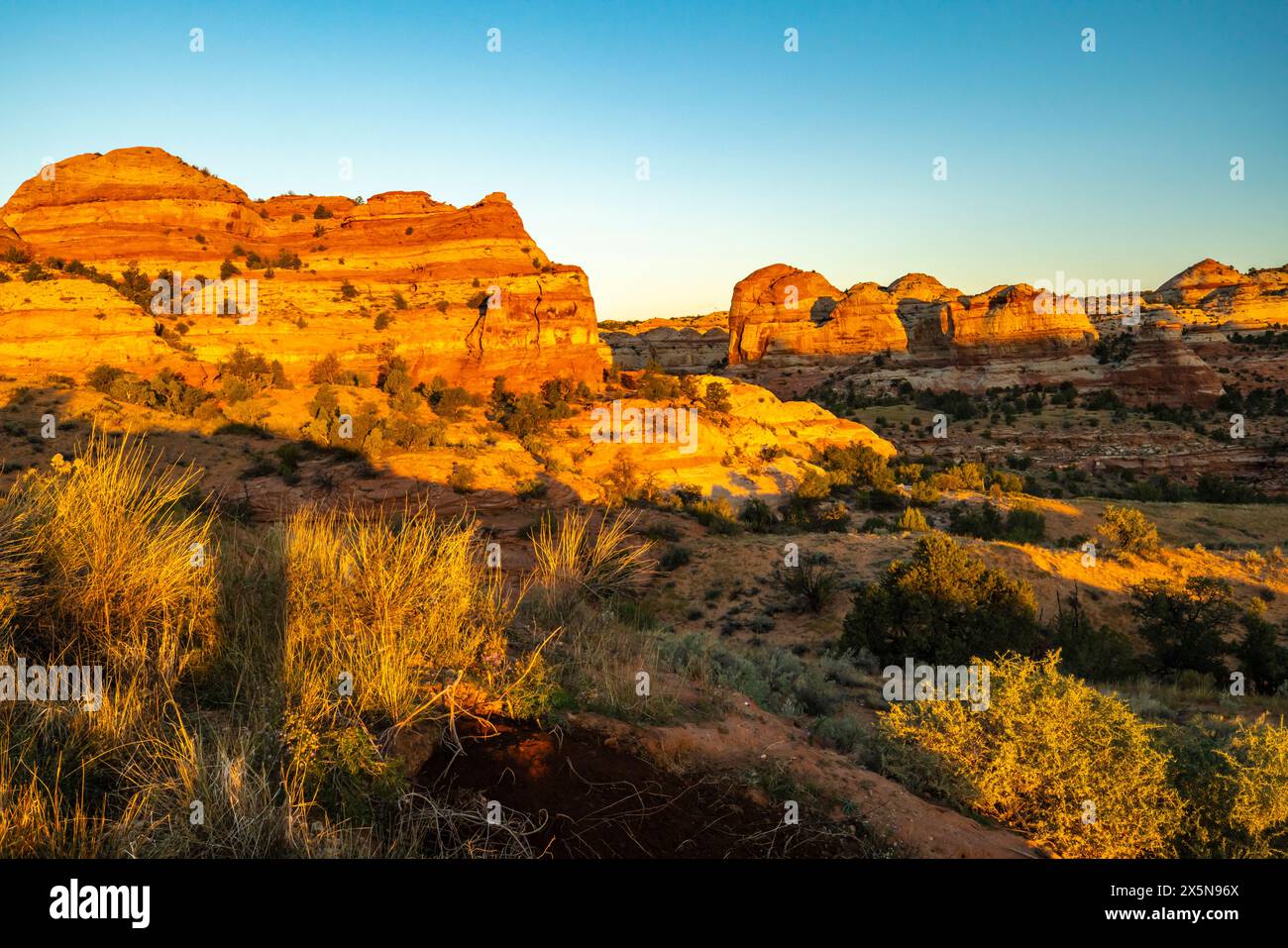 USA, Utah, Grand Staircase Escalante National Monument. Cliff rock ...