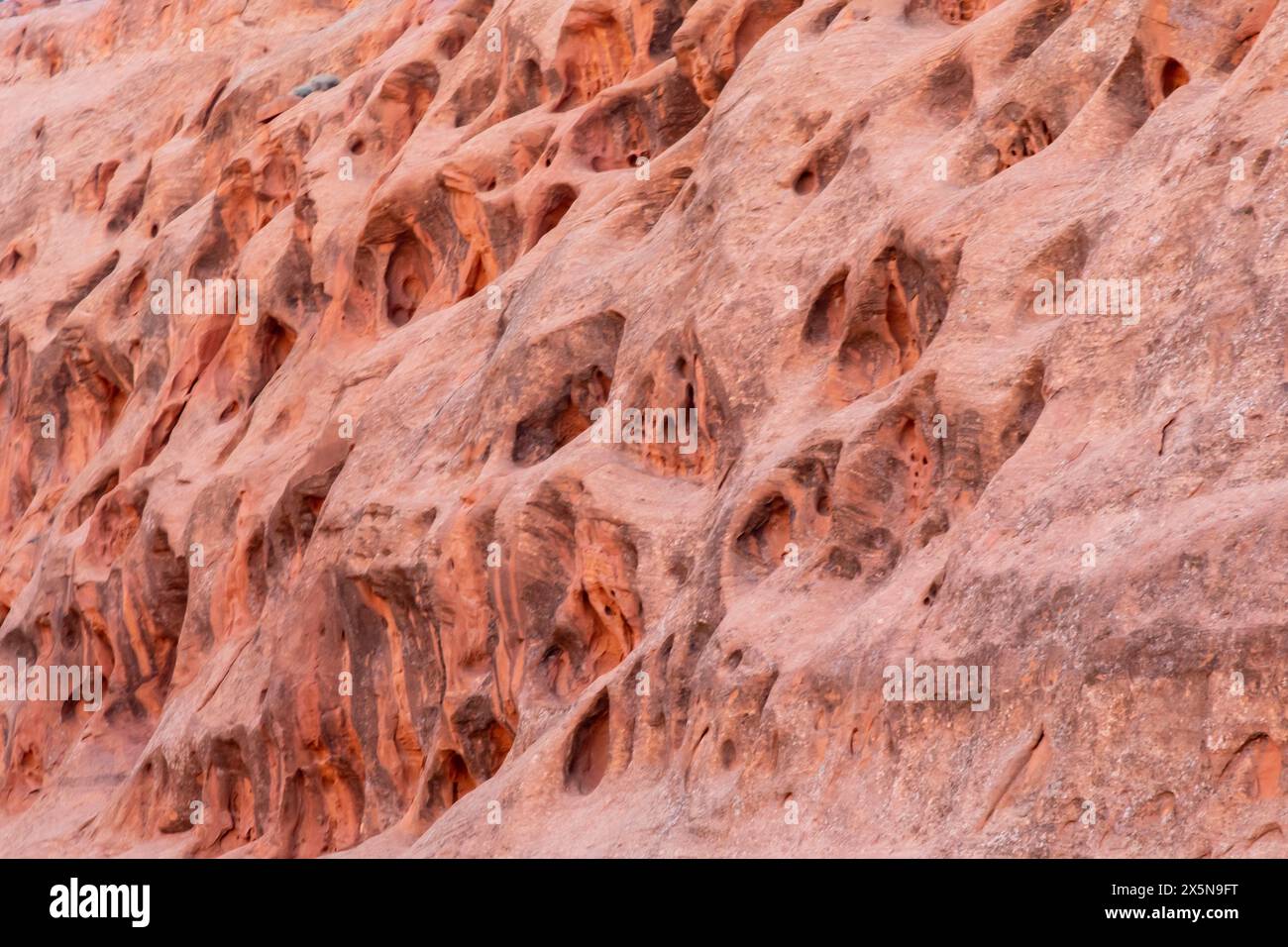 USA, Utah, Grand Staircase Escalante National Monument. Pockets of ...