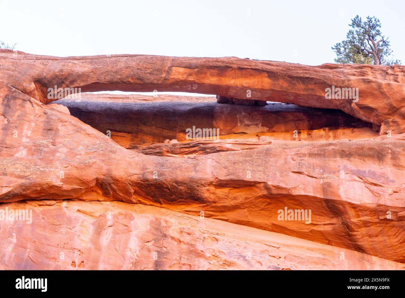USA, Utah, Grand Staircase Escalante National Monument. Sandstone wall ...
