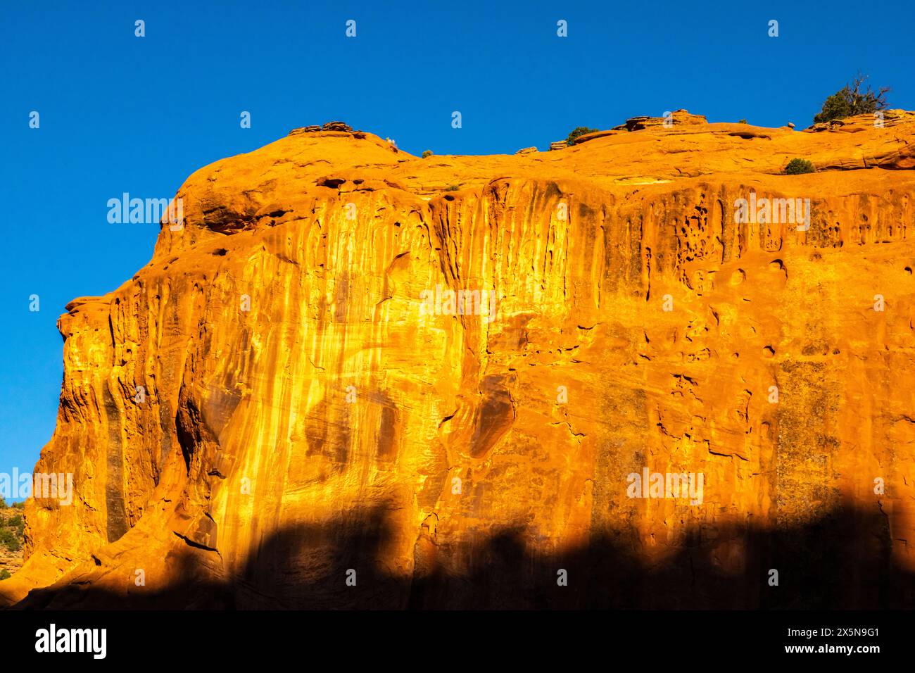 USA, Utah, Grand Staircase Escalante National Monument. Long Canyon ...