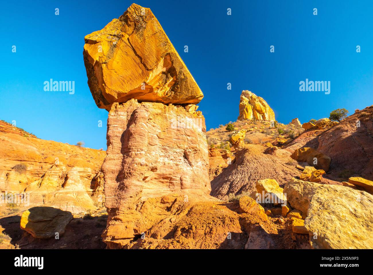 USA, Utah, Grand Staircase Escalante National Monument. Long Canyon ...