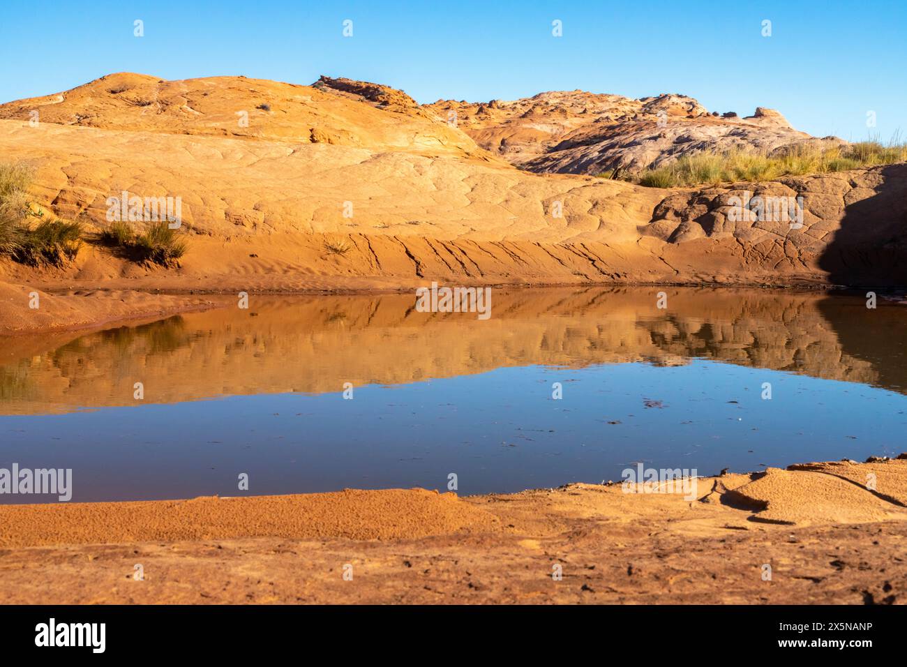 USA, Utah, Grand Staircase Escalante National Monument. Pond formed ...