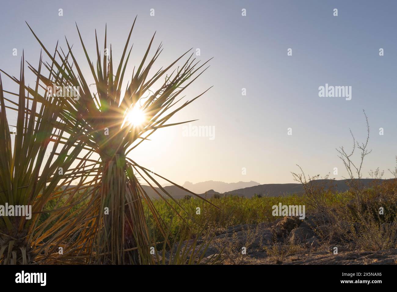 A scenic sunset view of the Rio Grande River flood plain in Big Bend ...