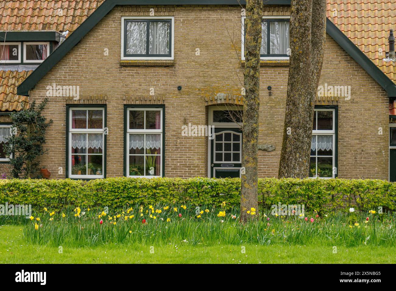 the island of ameland in holland Stock Photo - Alamy