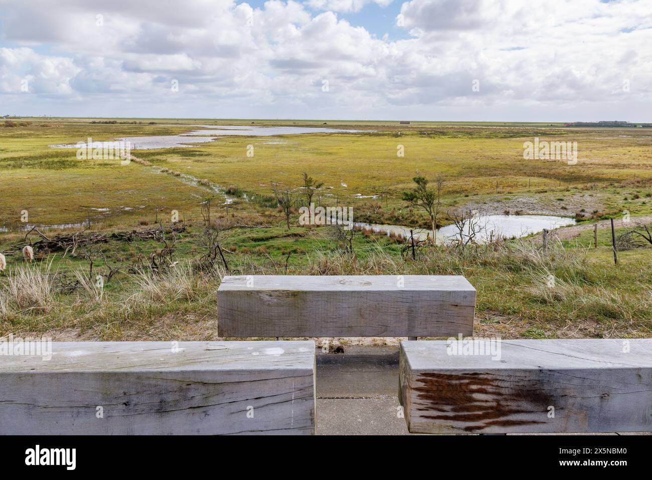 the island of ameland in holland Stock Photo - Alamy
