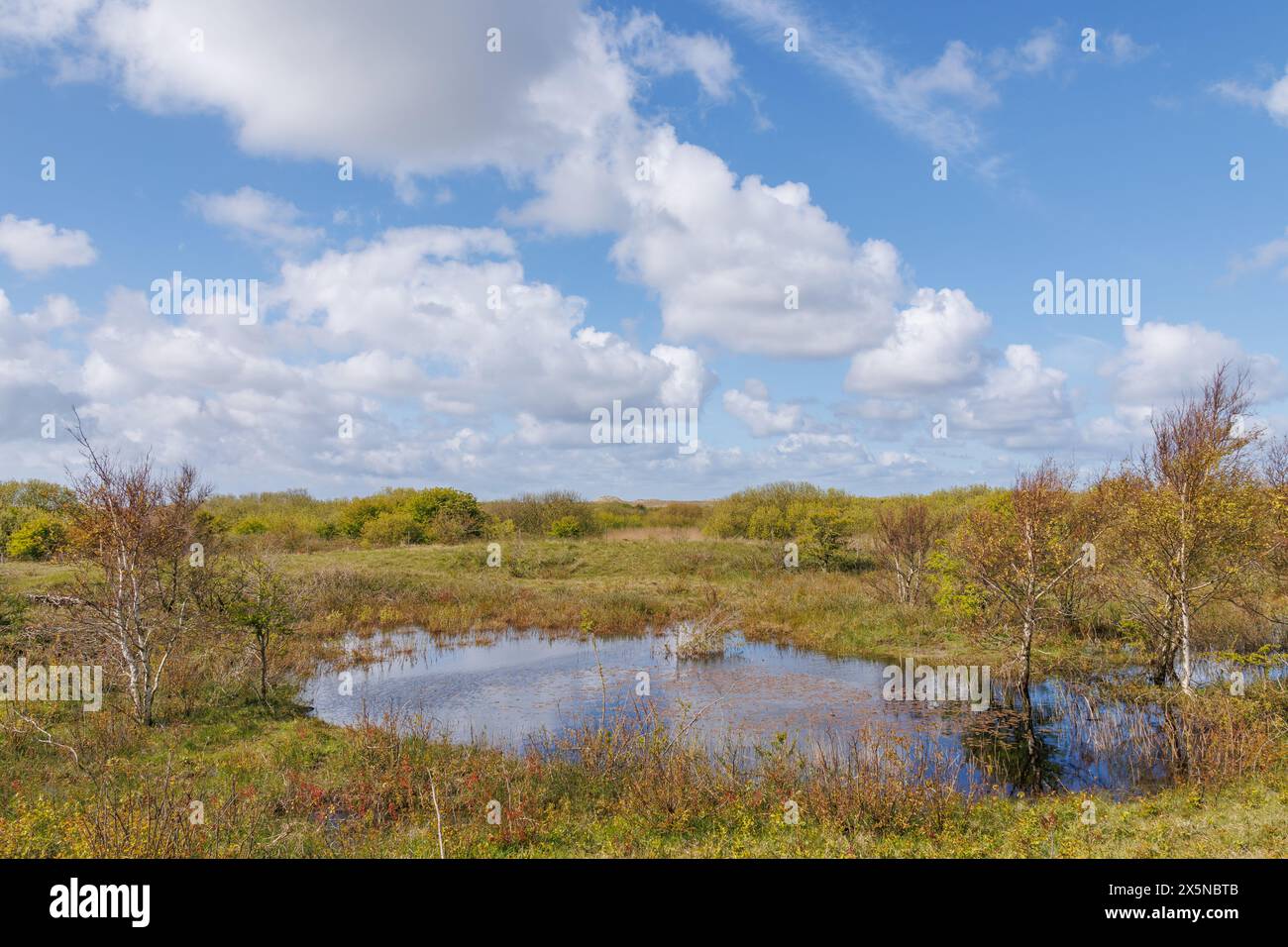 the island of ameland in holland Stock Photo - Alamy