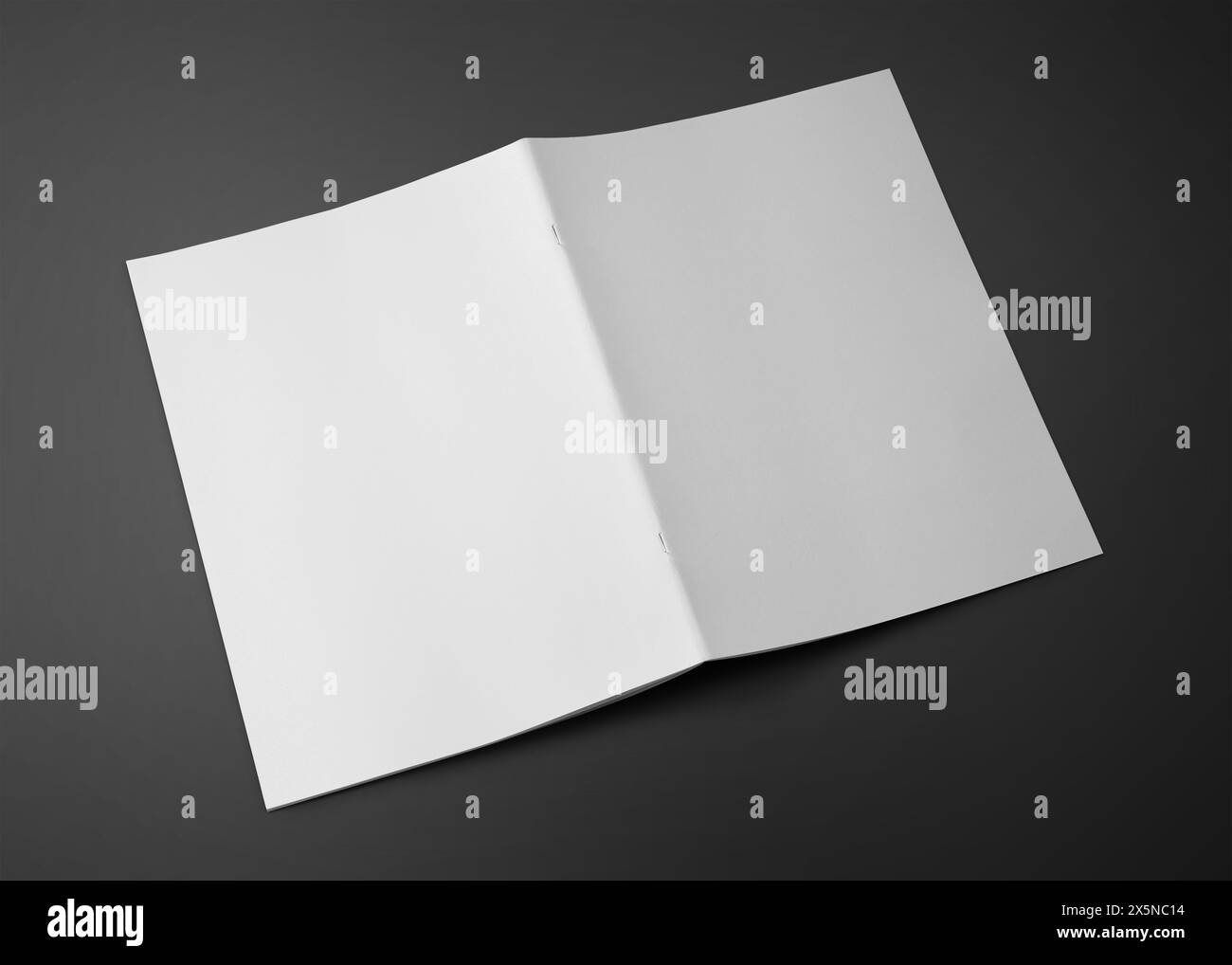 Vertical A4 Brochure Mockup 3D Rendering Stock Photo - Alamy