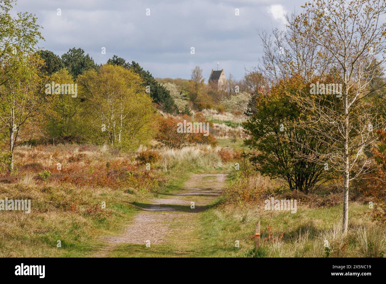 the island of ameland in holland Stock Photo - Alamy