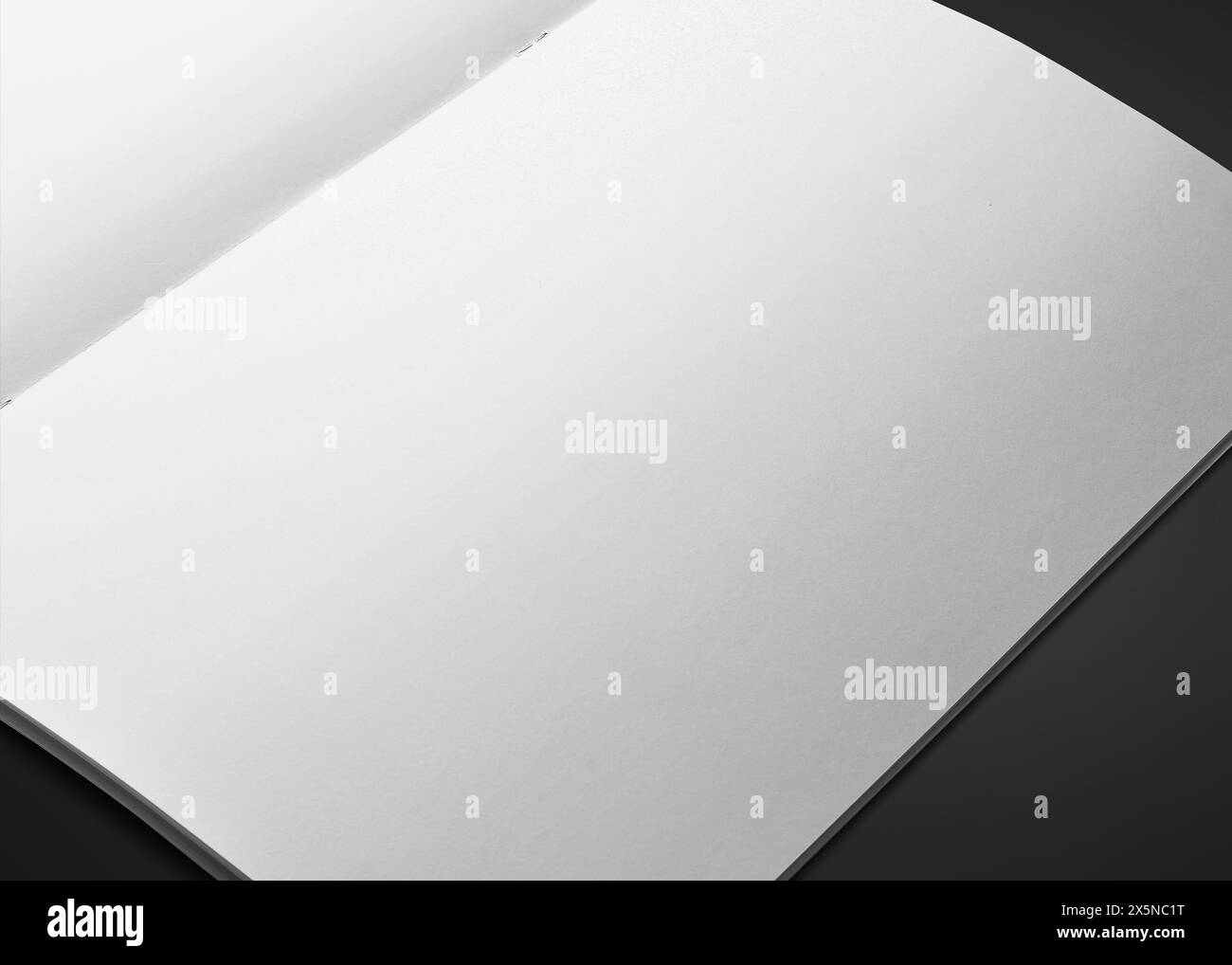 Vertical A4 Brochure Mockup 3D Rendering Stock Photo - Alamy