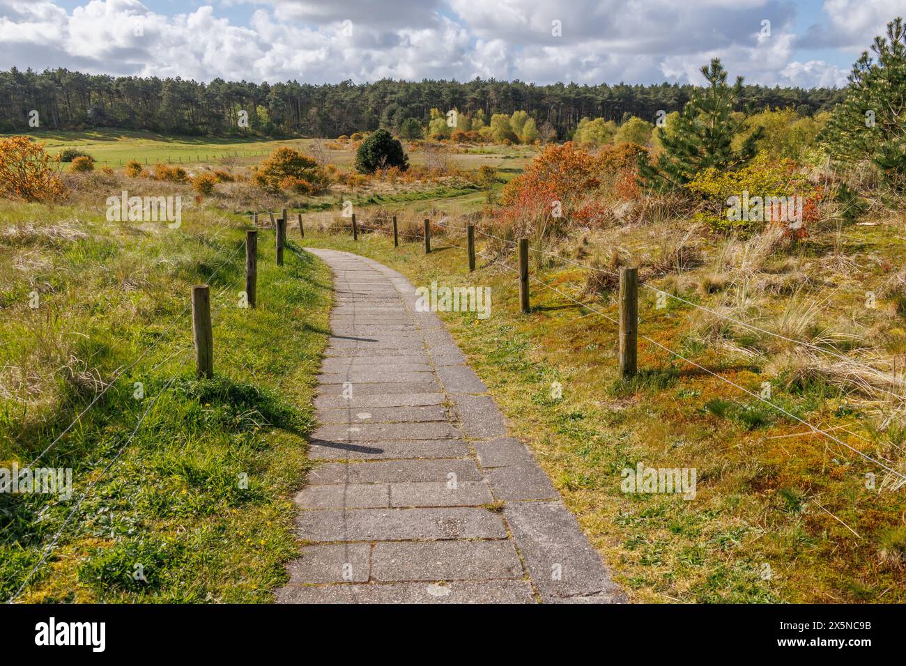 the island of ameland in holland Stock Photo - Alamy