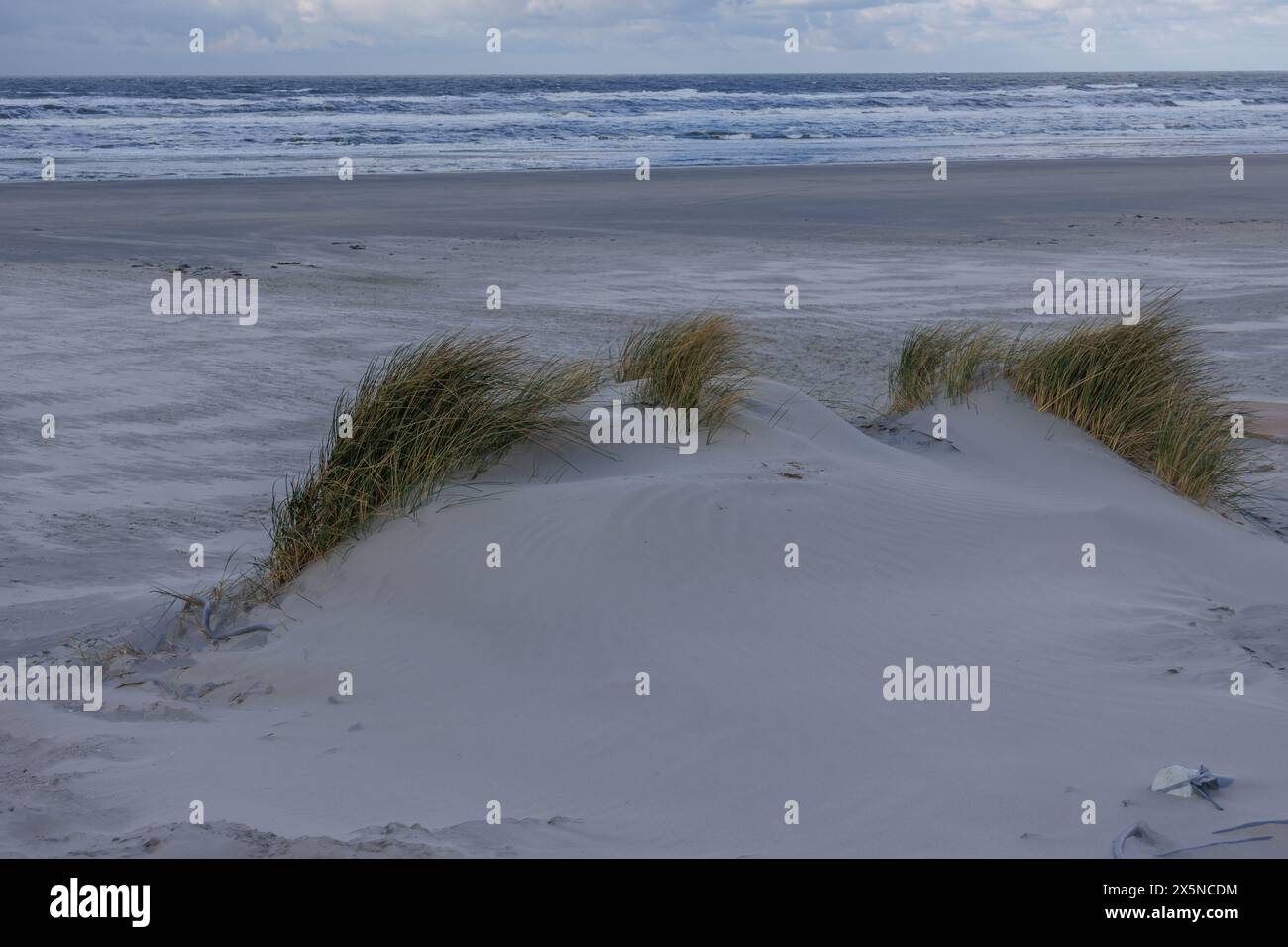the island of ameland in holland Stock Photo - Alamy