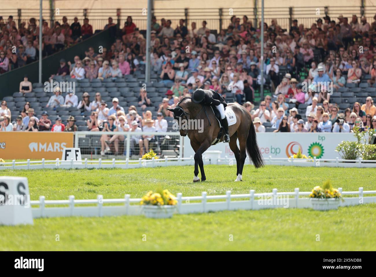 Badminton, UK. 10th May, 2024. Caroline Powell of New Zealand with ...