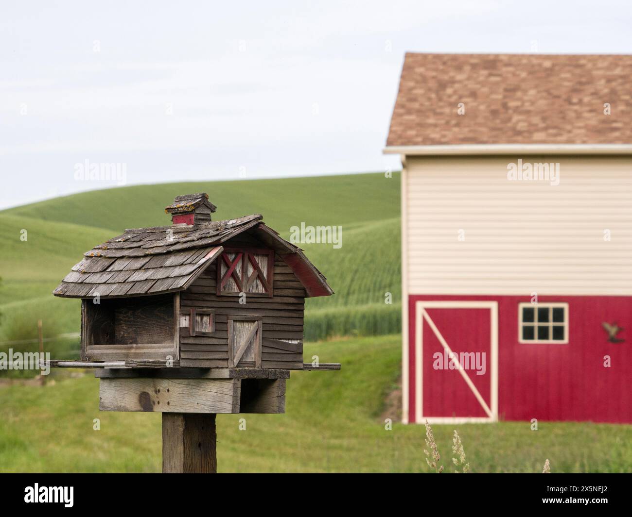 USA, Washington State, Palouse. Cute mailbox with red and white barn on ...