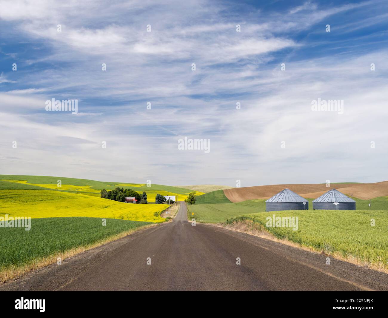 USA, Washington State, Palouse. Palouse countryside in summer with ...