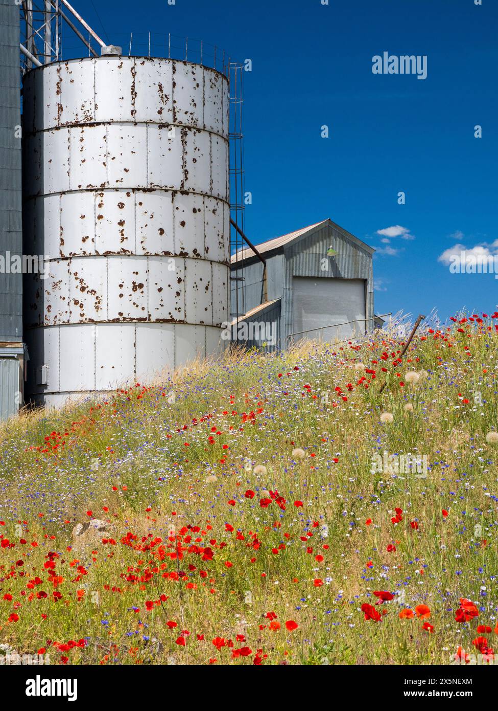 USA, Washington State, Palouse. Abandoned General Mills Train Depot in ...