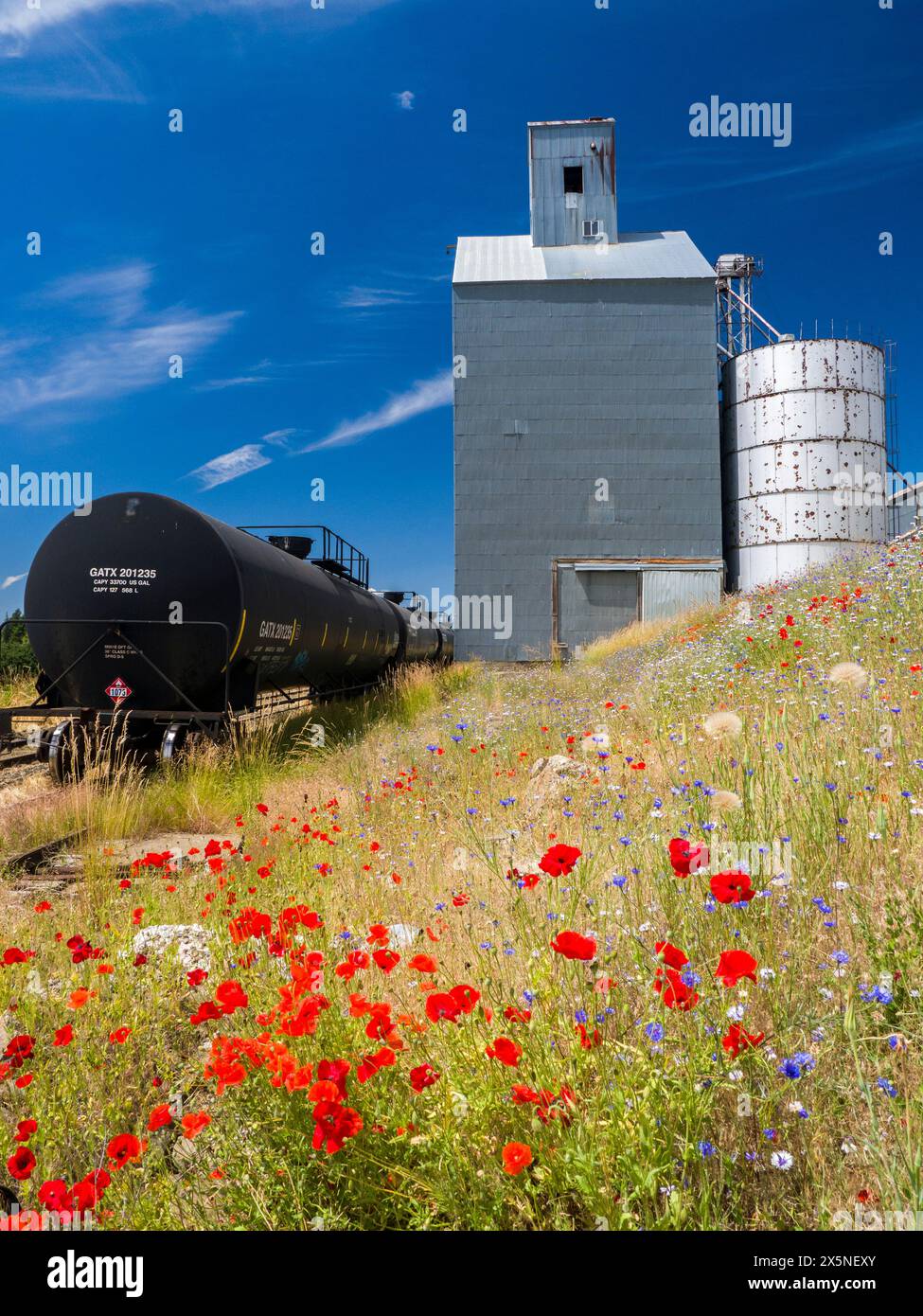 USA, Washington State, Palouse. Abandoned General Mills Train Depot in ...