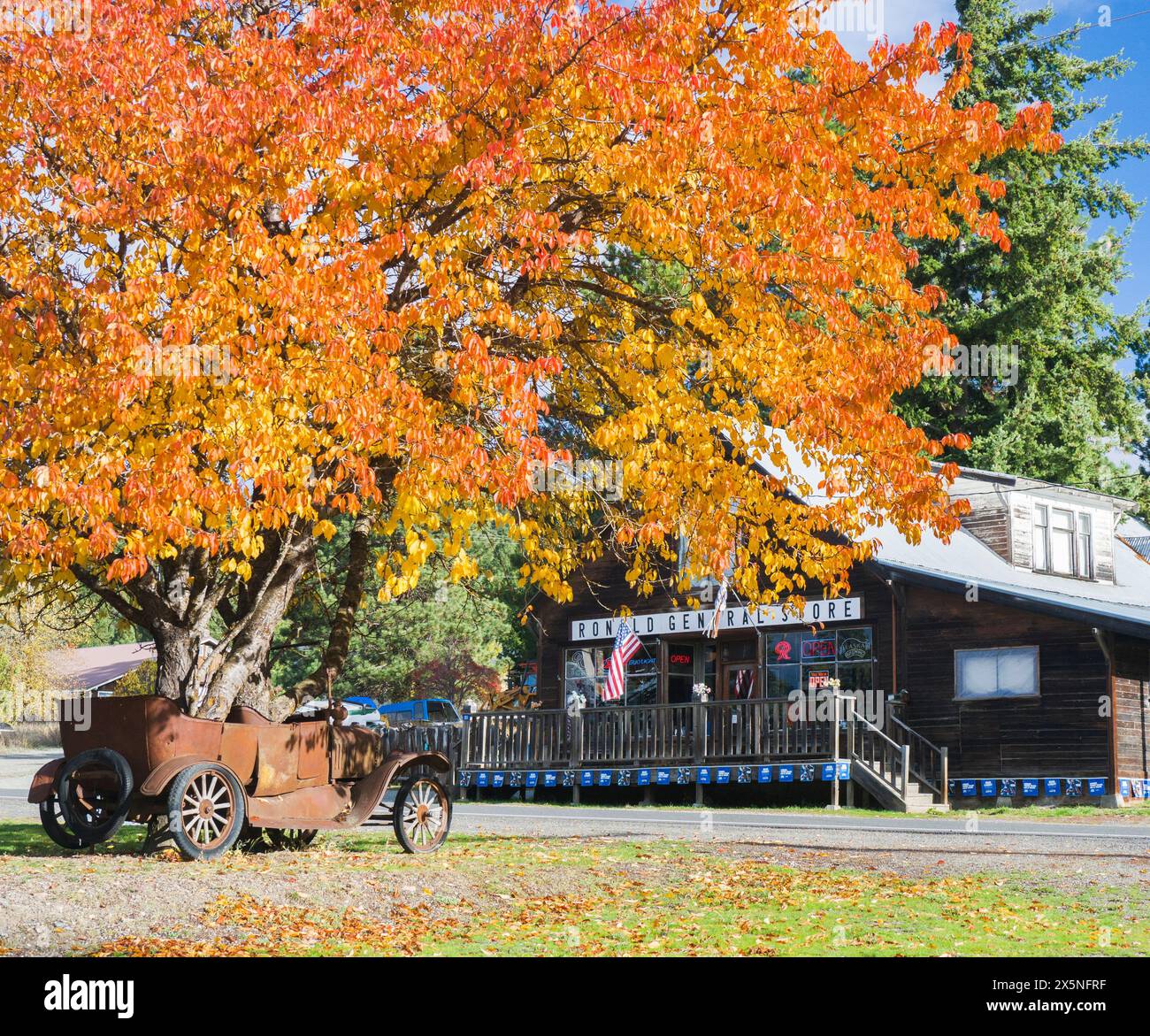 Tree growing out old car hi-res stock photography and images - Alamy