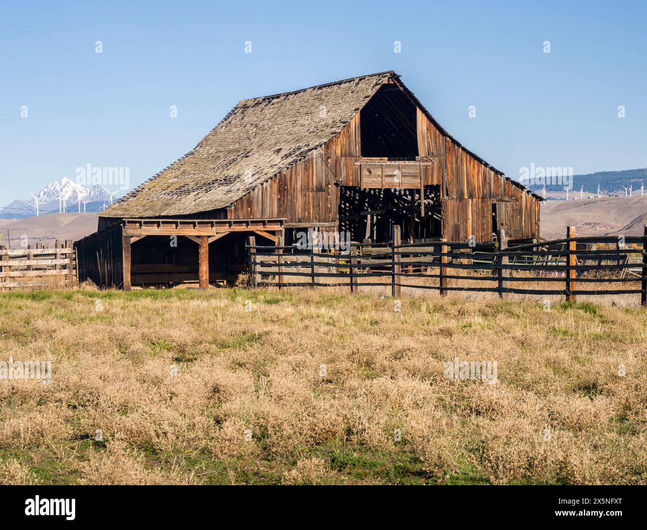 USA, Washington State, Kittitas County. Old wooden barn in autumn in ...