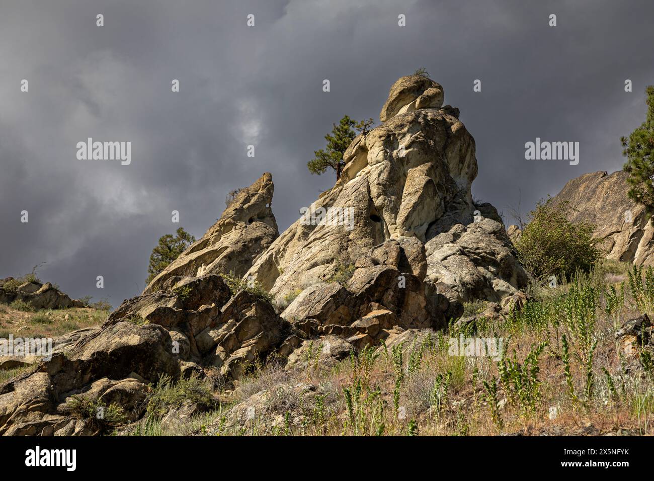 WA25267-00...WASHINGTON - Sandstone slabs at the Peshastin Pinnacles ...