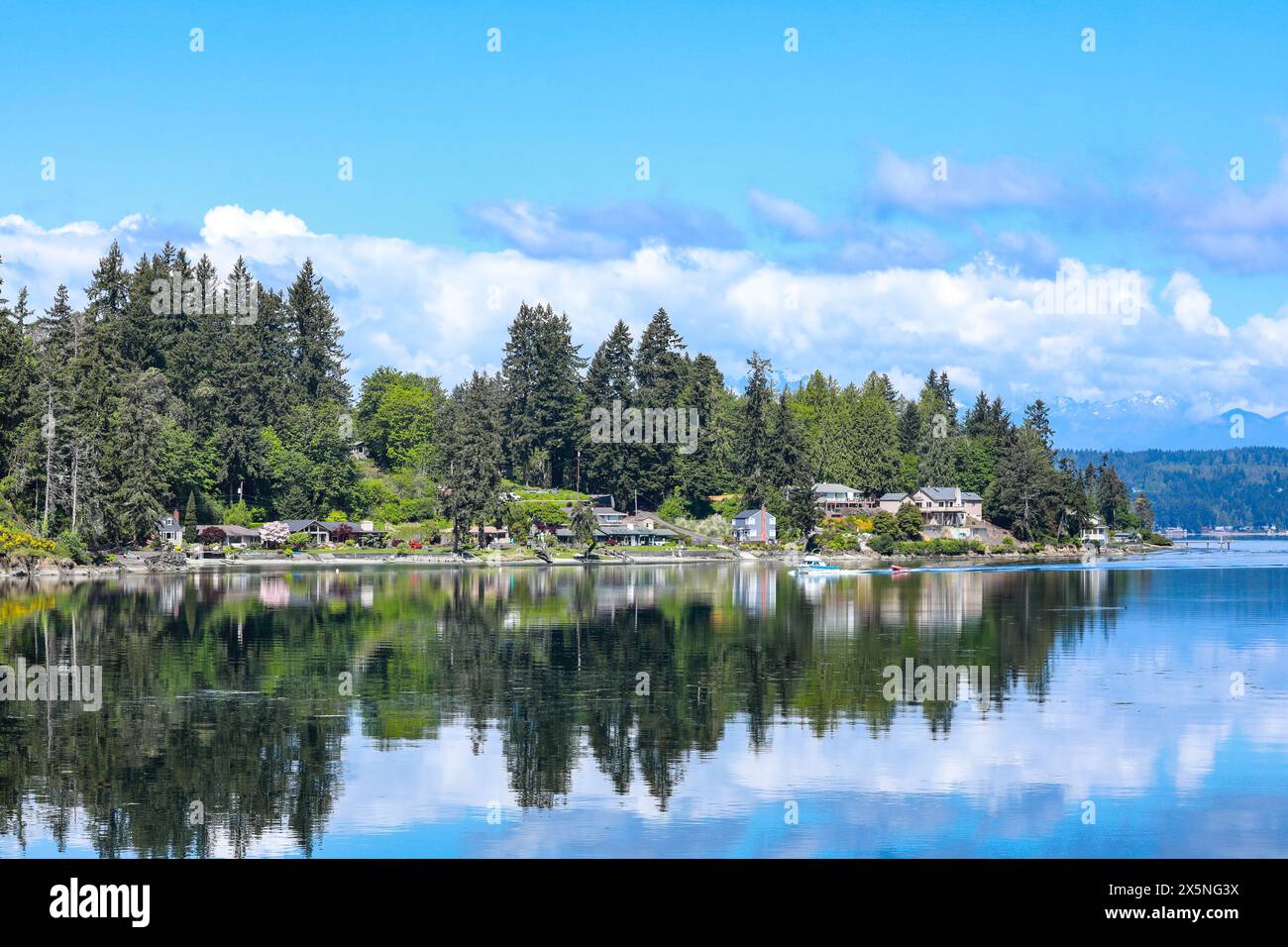 Bremerton, Washington State, USA. Boating on the water with evergreen ...