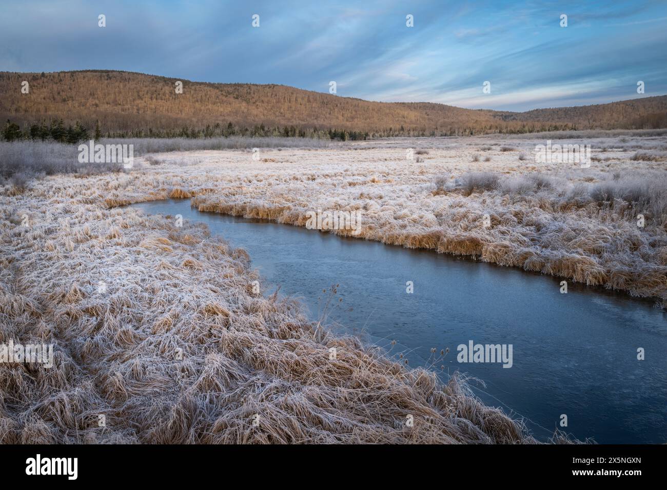 USA, West Virginia, Canaan Valley State Park. sunrise on frosty winter ...