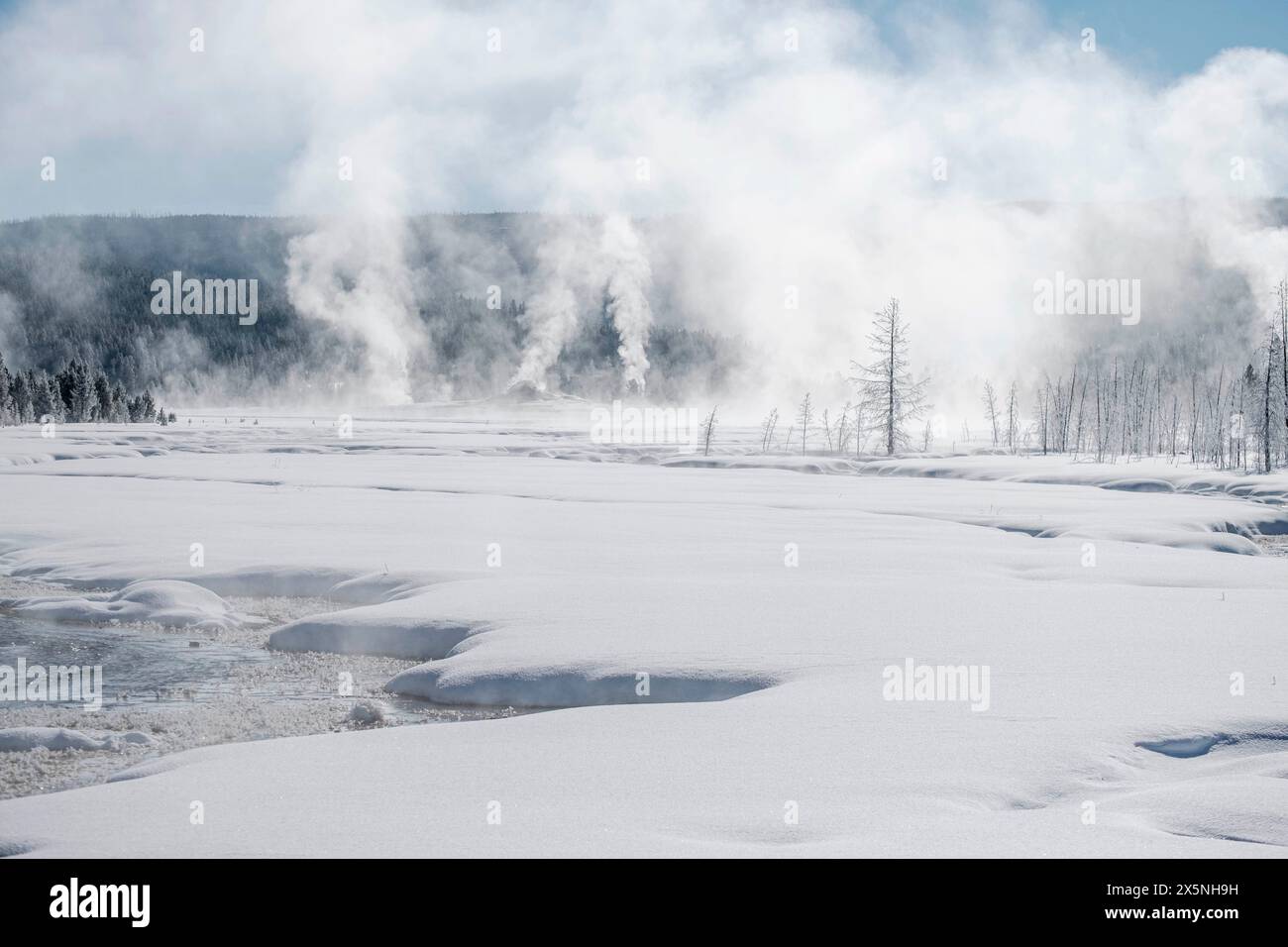 Yellowstone, geyser activity Stock Photo - Alamy