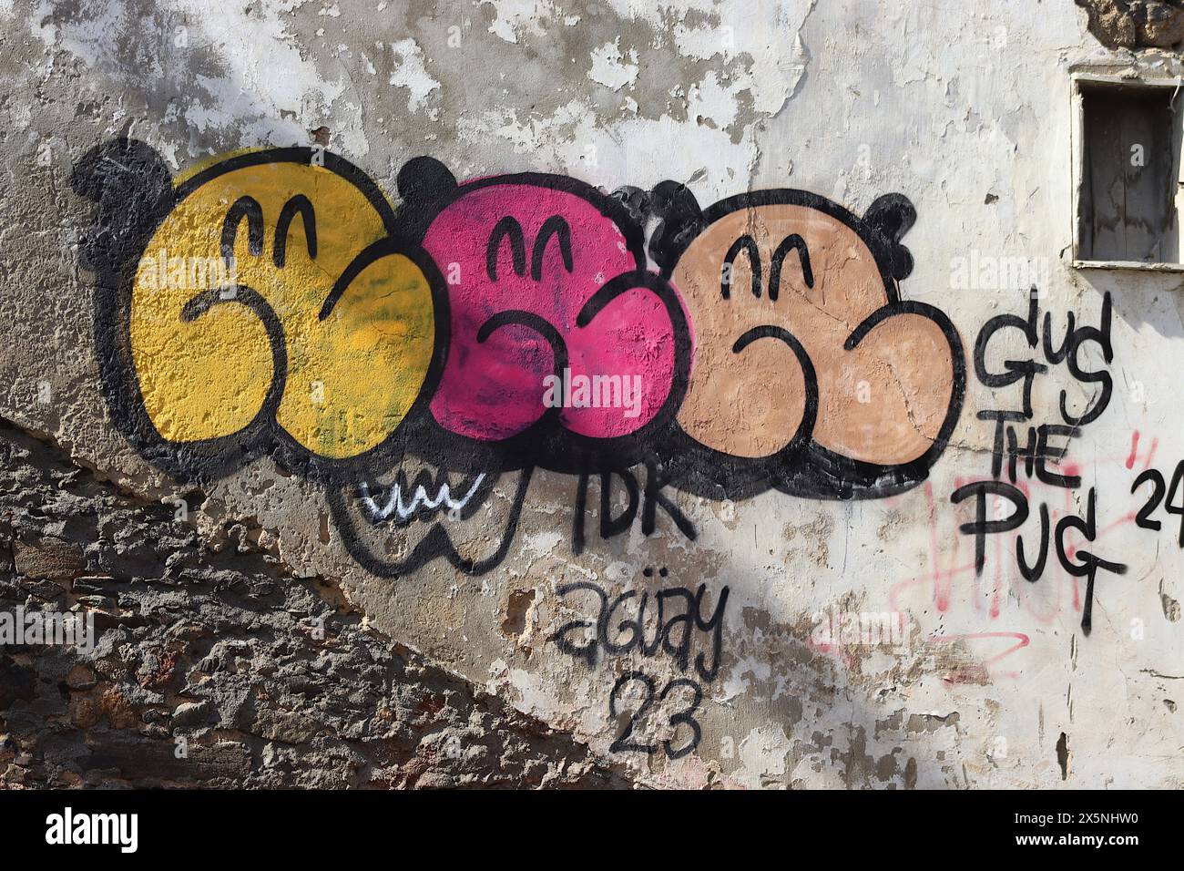 2024 Gus the Pug street art, painted on the wall of a derelict building ...