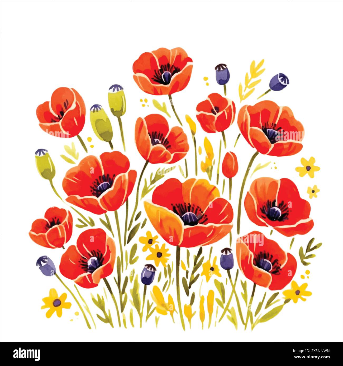 Red poppy flower watercolor illustration vector collection. Red petals ...