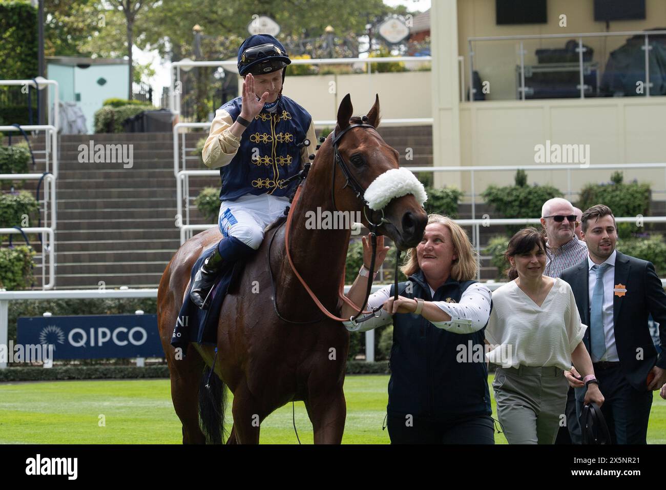 Breeder pier house stud hi-res stock photography and images - Alamy