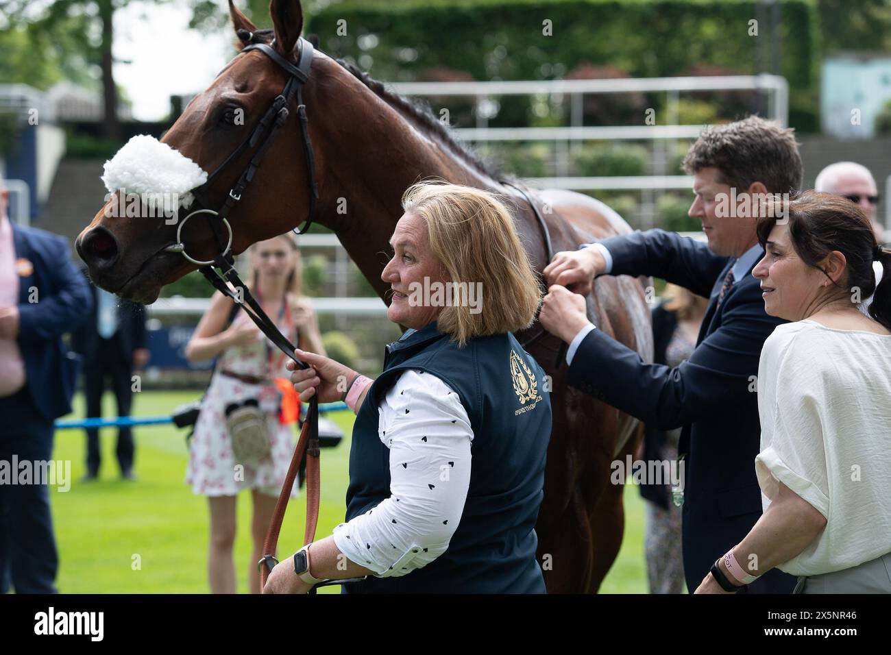 Ascot, Berkshire, UK. 10th May, 2024. Horse Arctic Thunder (No 5 ...