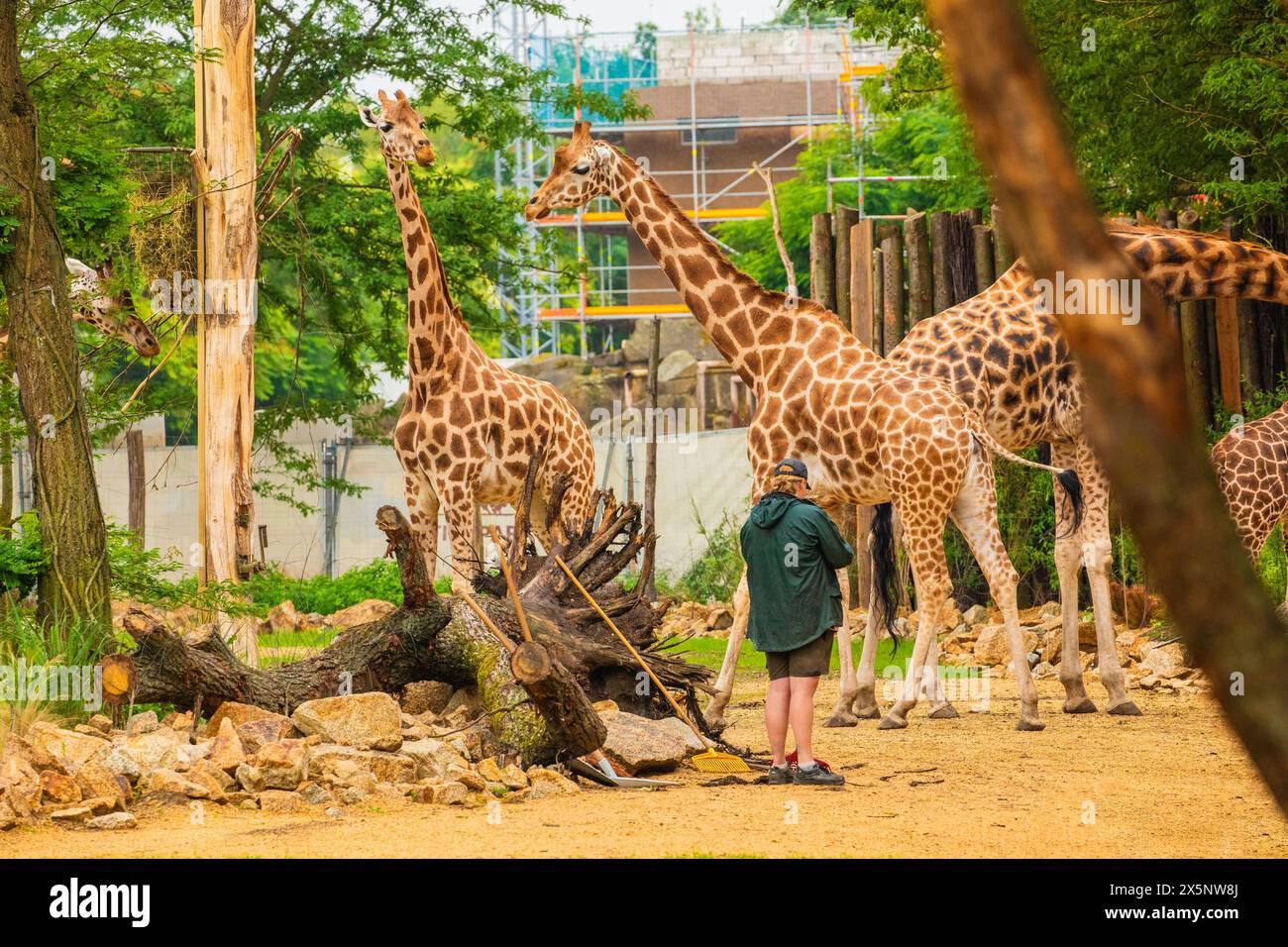 Zoo uniform hi-res stock photography and images - Alamy