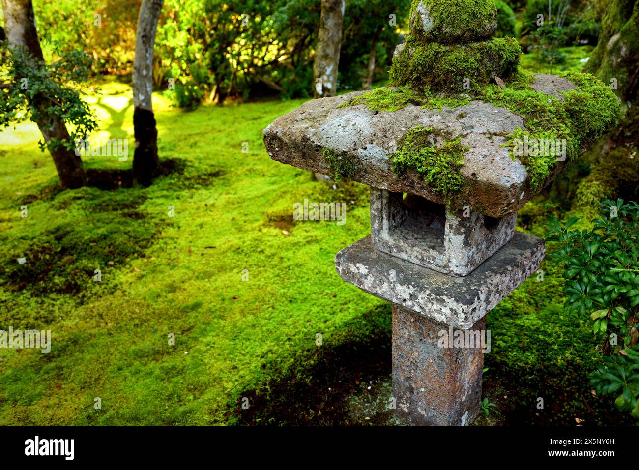 An old stone lantern placed in a moss-covered Japanese garden Stock ...