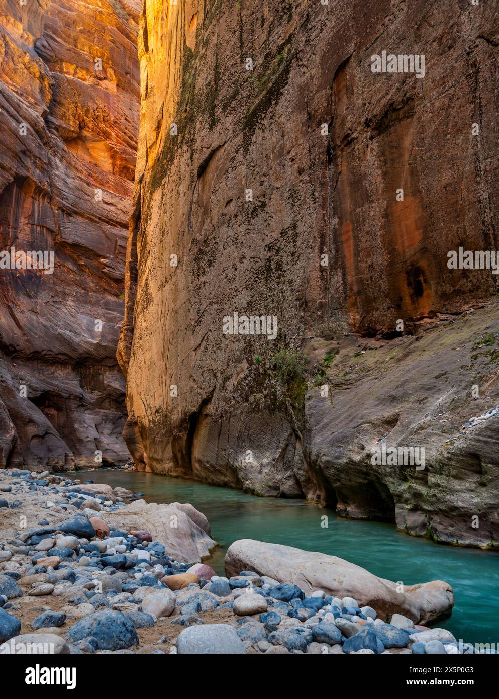 Zion utah desert red sandstone hi-res stock photography and images - Alamy