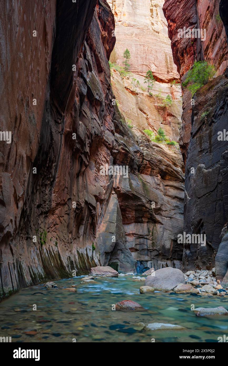 Narrows in zion national hi-res stock photography and images - Alamy
