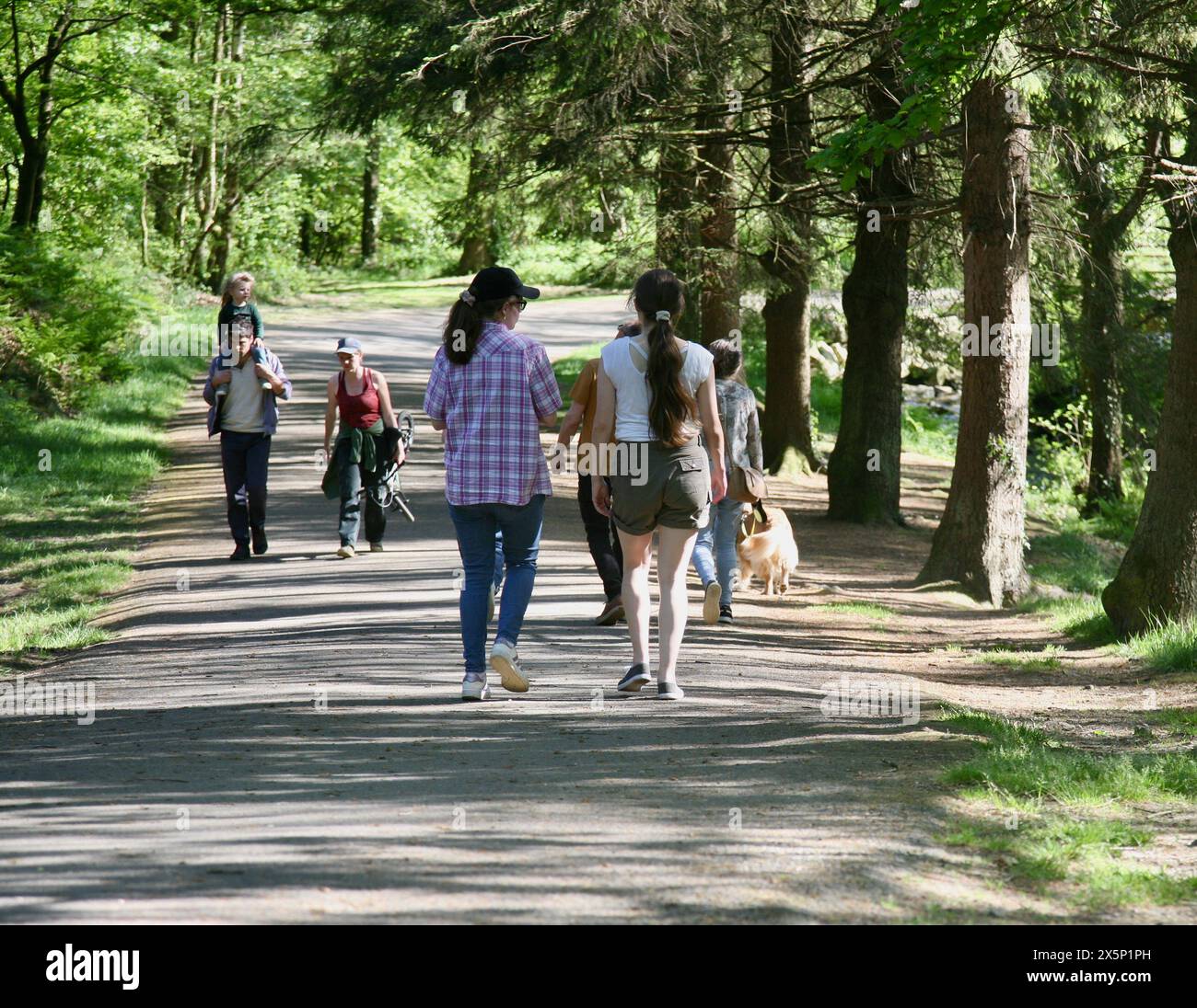 Fosse park avenue hi-res stock photography and images - Alamy