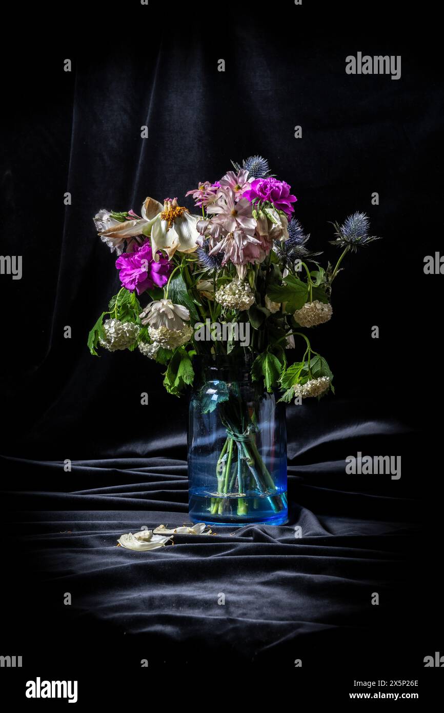 In the quiet solitude of a black background, the withering flowers in ...