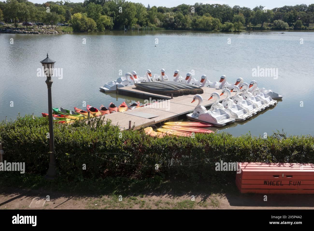 Canoes, boards, kayaks and swan peddlers for rent at Lake Como. St Paul ...