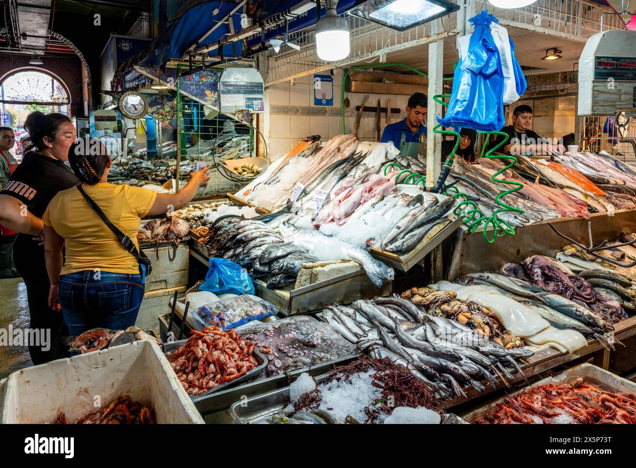 Fresh Fish For Sale In The Mercado Central, Santiago, Chile Stock Photo ...