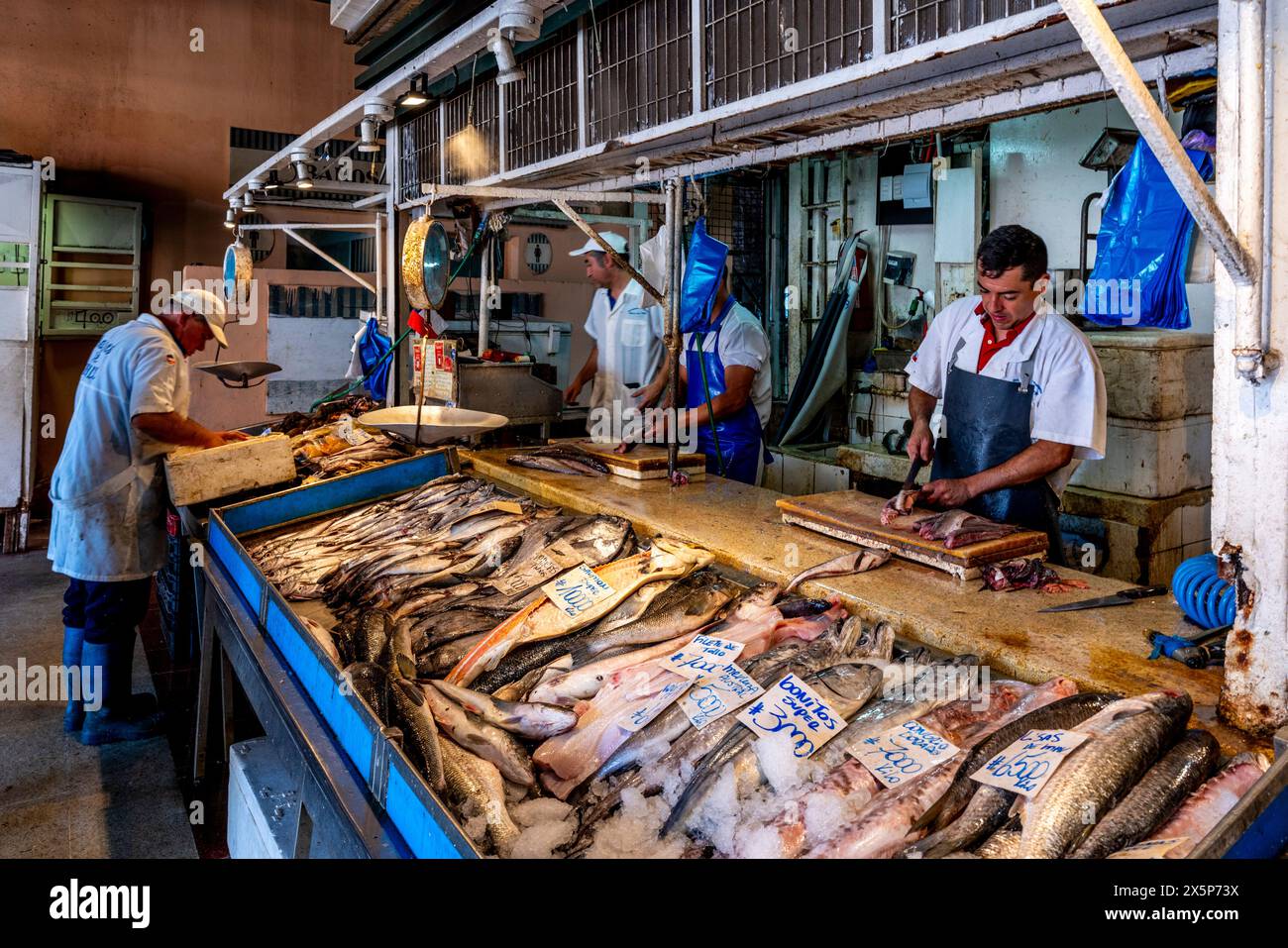 Fresh Fish For Sale In The Mercado Central, Santiago, Chile Stock Photo ...