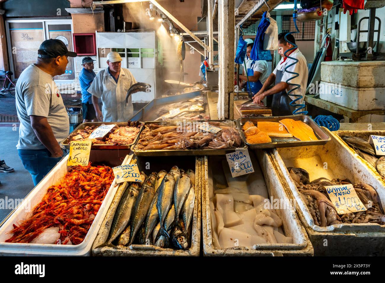 Central market in santiago hi-res stock photography and images - Alamy