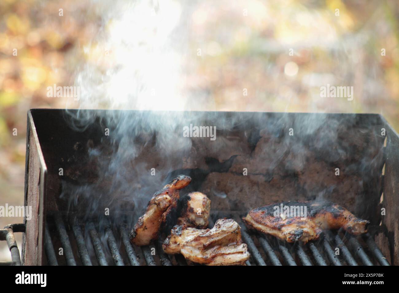 Grilling chicken meat outdoors on a picnic grill Stock Photo - Alamy