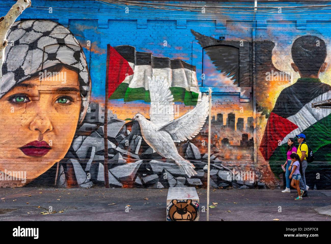 Pro Palestine Street Art, Santiago, Chile, South America Stock Photo ...