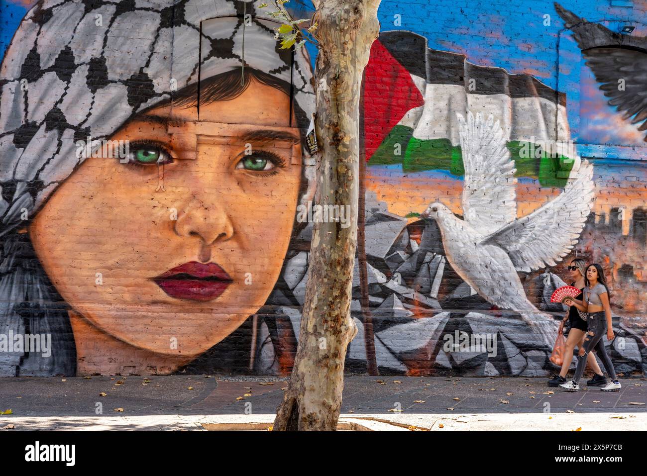 Palestine american wall hi-res stock photography and images - Alamy