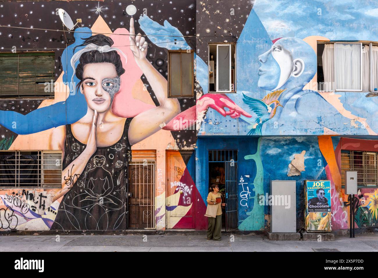 Colourful Street Art, Santiago, Chile, South America Stock Photo - Alamy