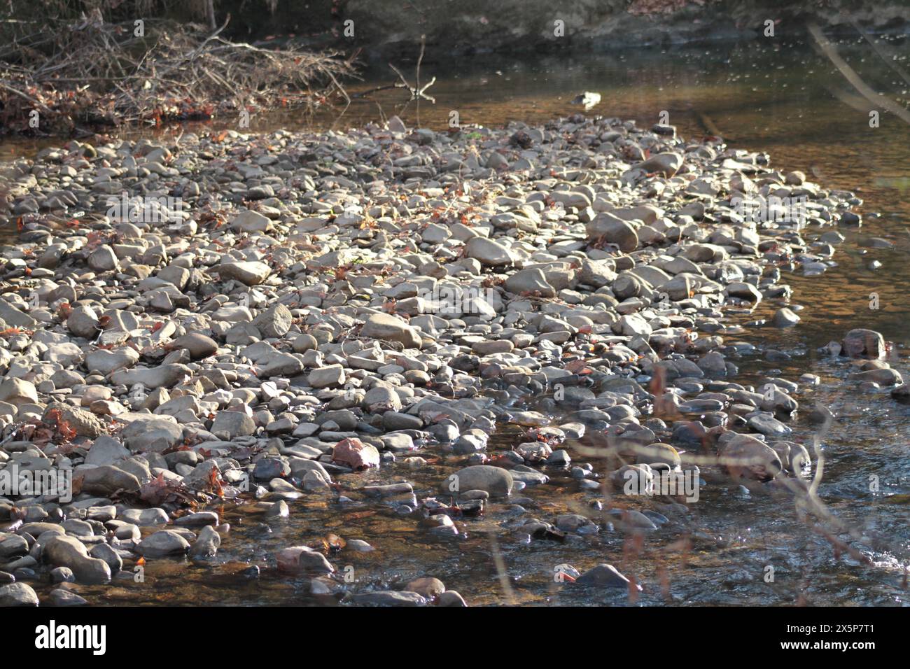 Streambed rocks hi-res stock photography and images - Alamy
